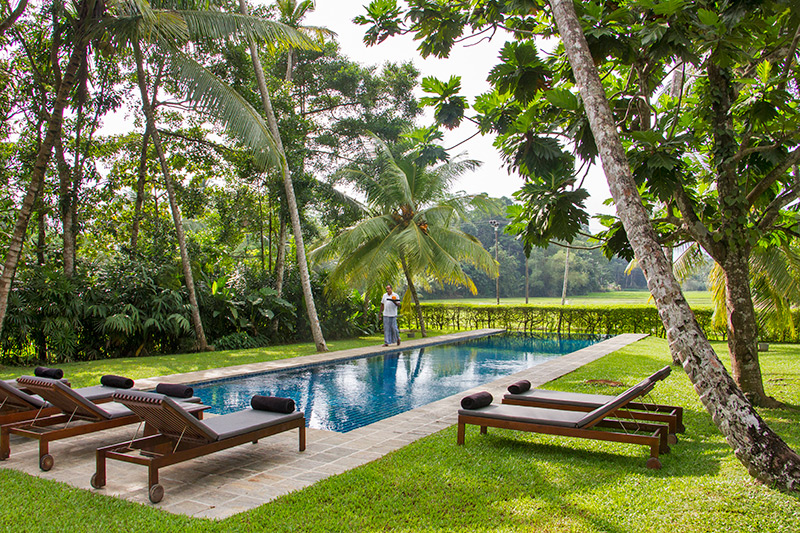 The Experience : Ivory House